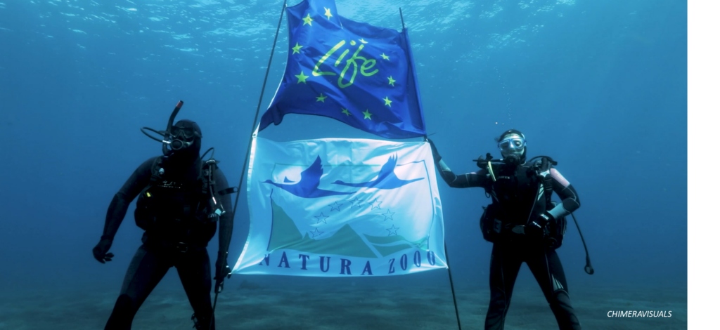 Coastal and underwater clean-ups in the Azores: a review of regional ...
